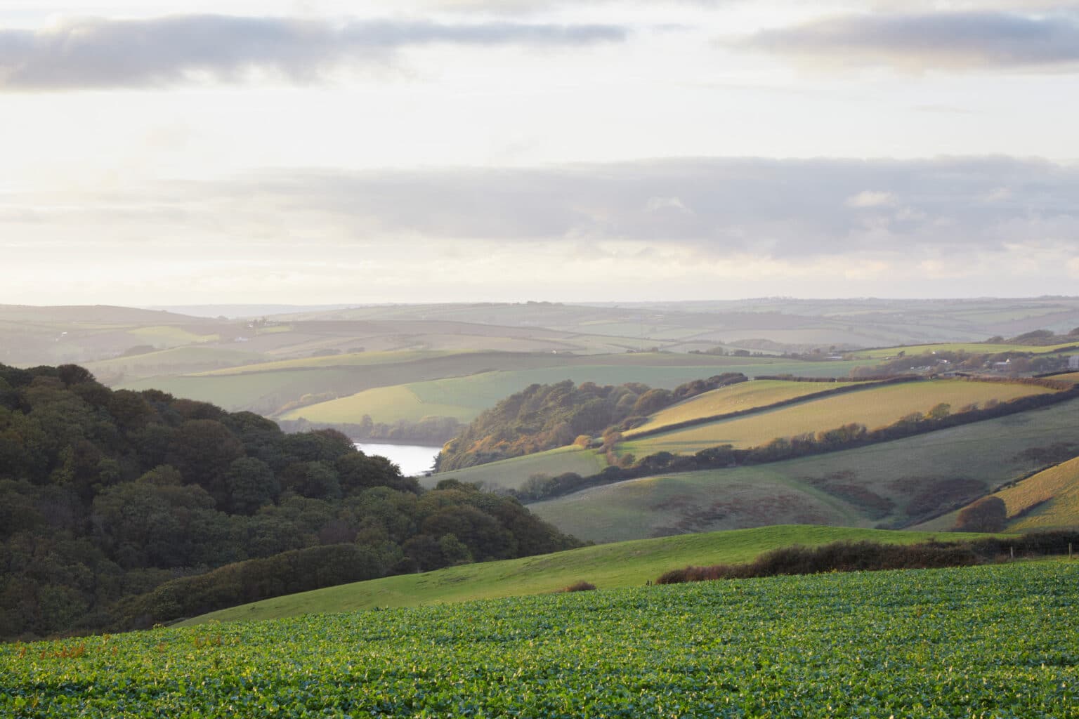 Secular Retreat in Devon, Chivelstone | holidayarchitecture