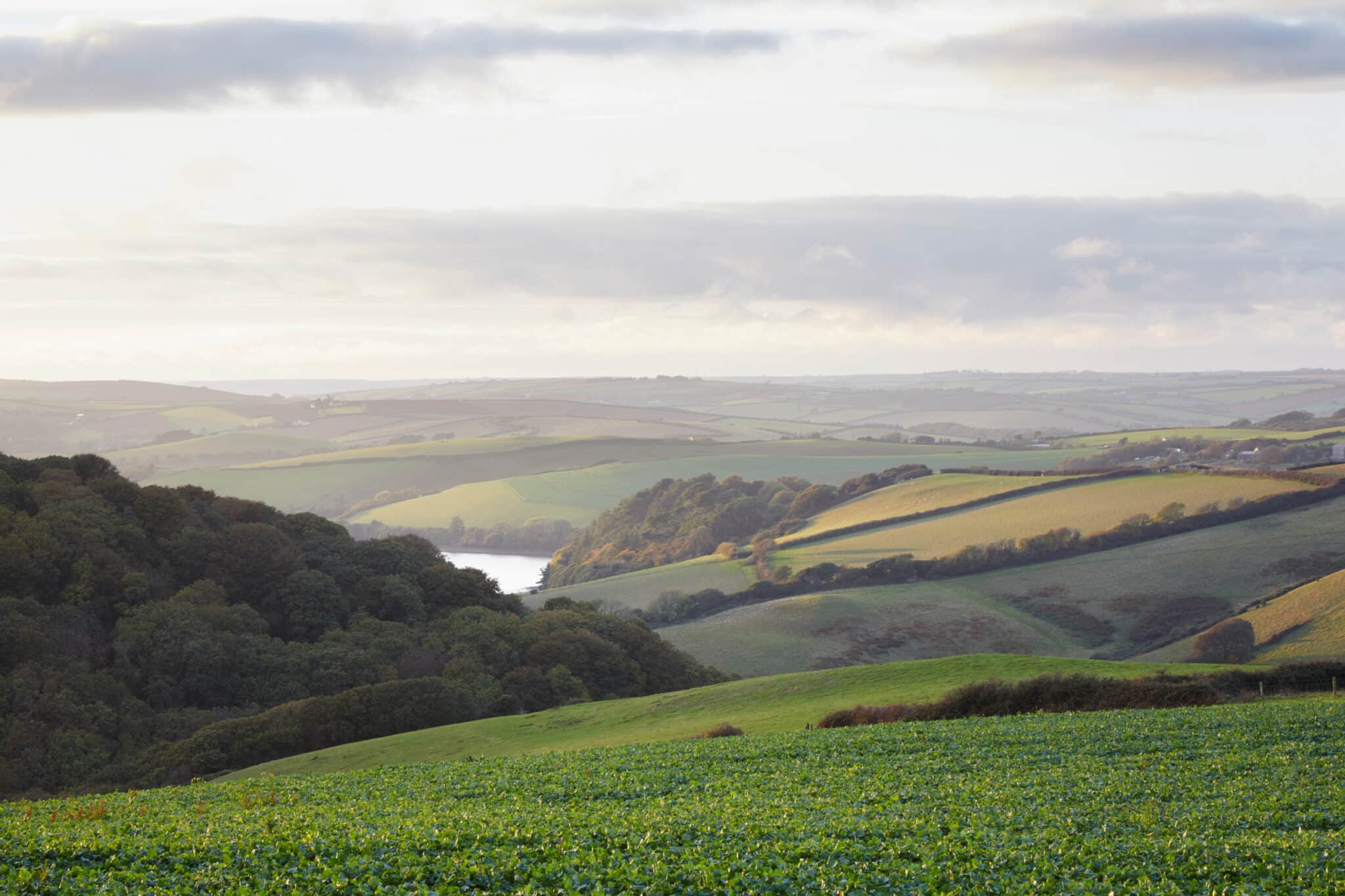 Secular Retreat in Devon, Chivelstone | holidayarchitecture