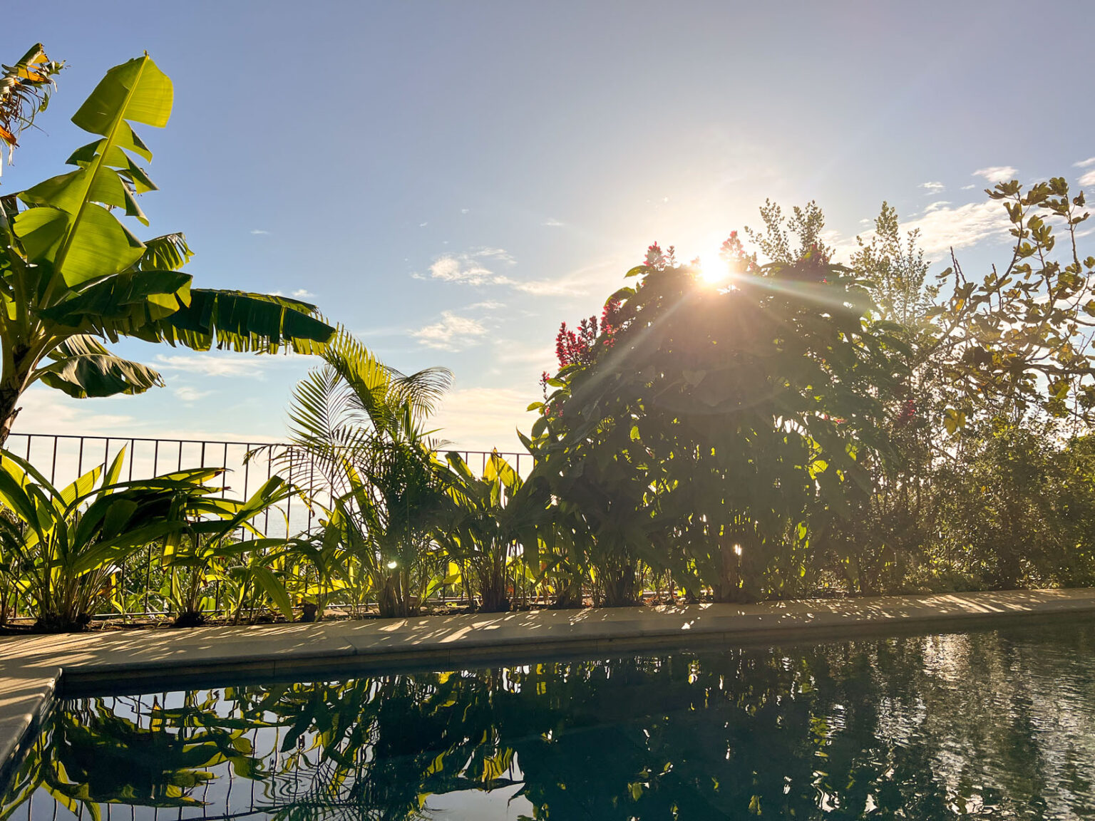 The Banana House in Insel Madeira, Arco da Calheta | urlaubsarchitektur